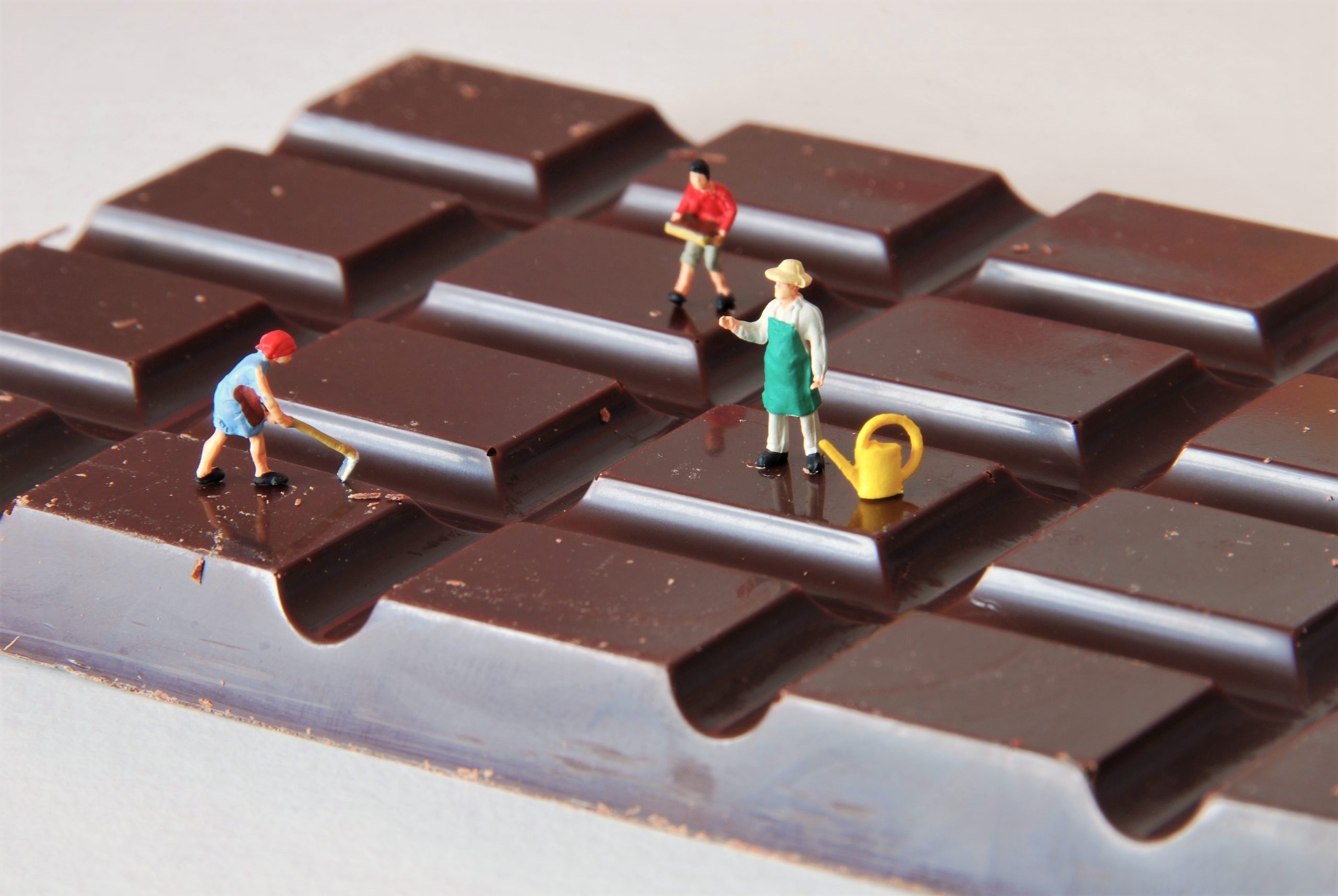 Craft Chocolate: Bean to Bar - ChocolateSeekers | Discover Craft & Bean ...